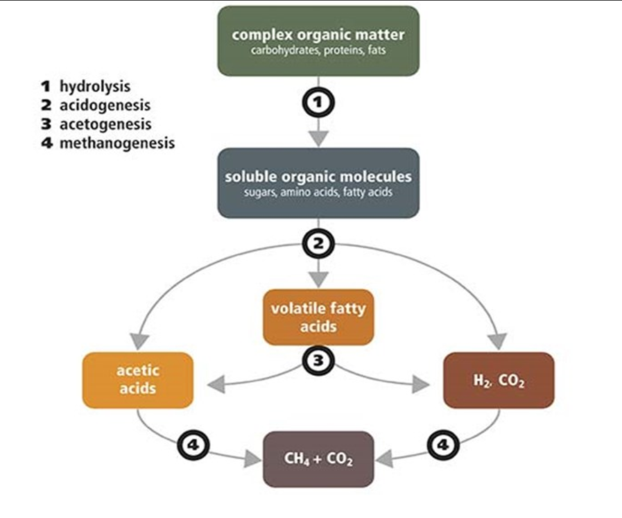Biomass & Biogas Energy – Total Eco Energy